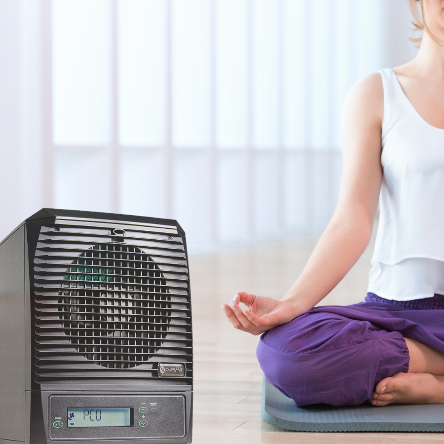 pureAir 3000 MERV Odogard Air Purifier CleanWorld
